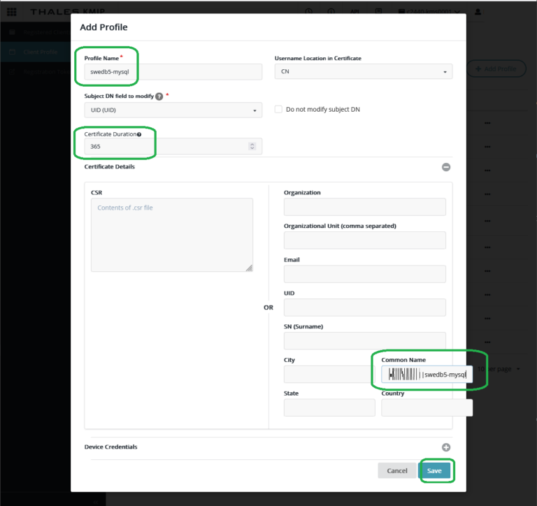 Thales CipherTrust Manager – setting up KMS access – .pQd's log